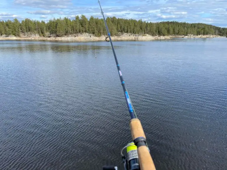 Fiske i Børtervanna – Østmarka