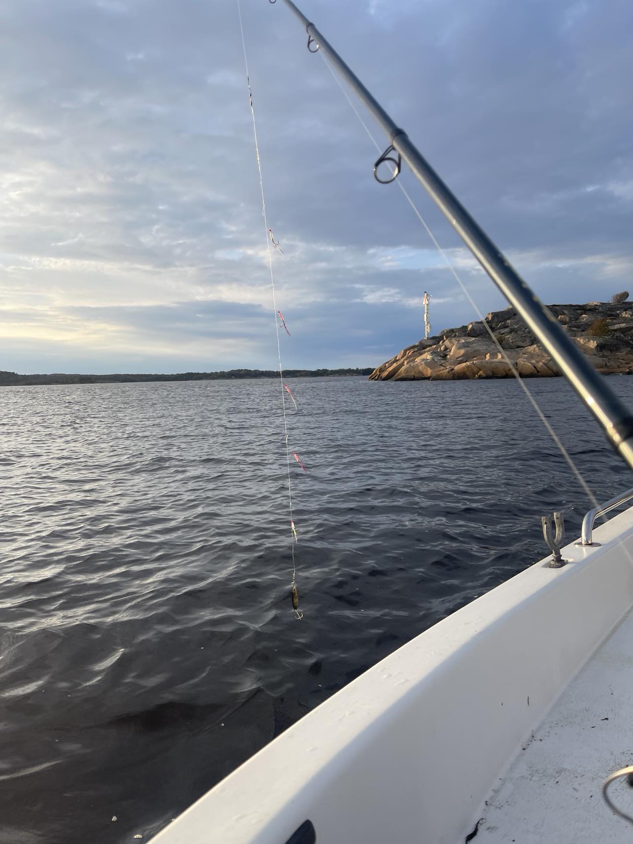 Hvordan fiske makrell - Alt om makrellfiske